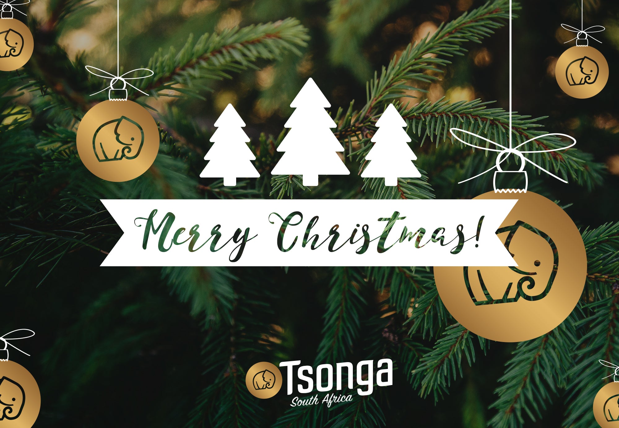 A Very Merry Christmas & Goodbye 2020! – Tsonga AU