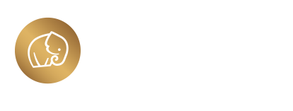 Tsonga Leather Shoes and Bags Made in Africa – Tsonga AU